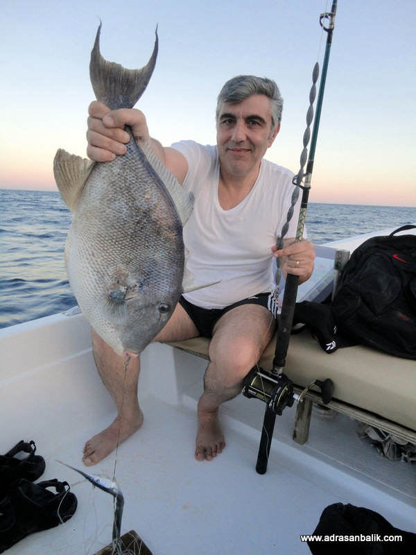 YAKALA BIRAK DOMUZ BALIGI AVIadrasanbalik.com